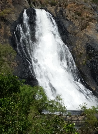 Bloomfield-Falls-Portriat- Mason's Tours